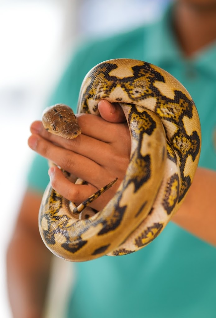 Furrito Haus Cafe & Pet Mart | Lucas Map